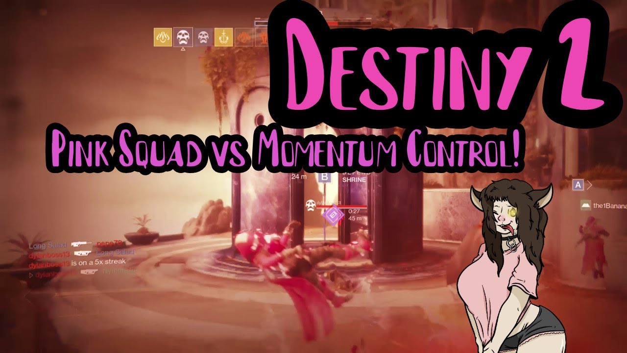 Destiny 2| Pink Squad takes on MOMENTUM CONTROL! - YouTube