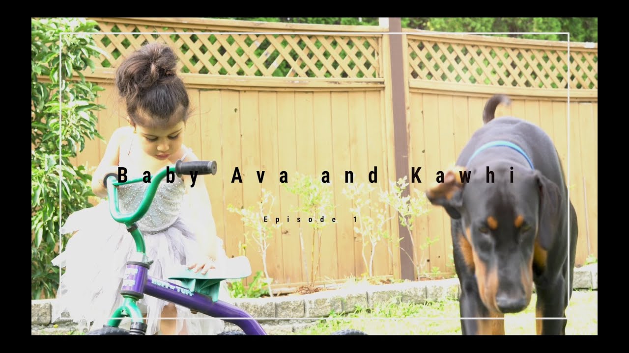 Ava and Our Dog - Episode 1 - YouTube