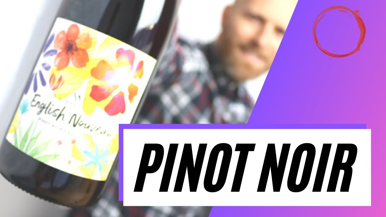 What is PINOT NOIR - Everything you need to know about this popular ...