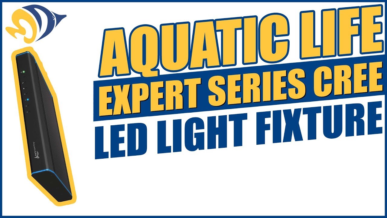 Aquatic Life Expert Series Cree LED Light Fixture Product Demo - YouTube