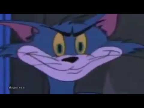 Tom as Joker Tom and Jerry Tom Joker Status Video Tom and Jerry Joker ...