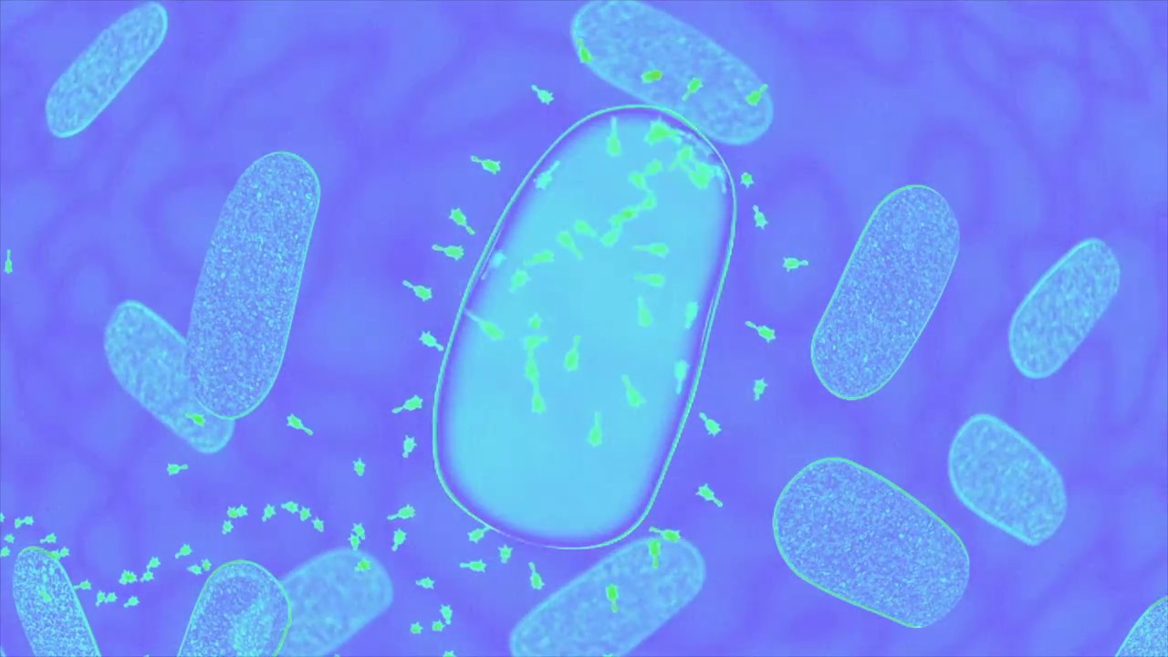 Bioessays: Long-term evolution of viruses: A Janus-faced balance - YouTube