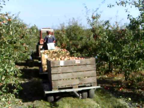 Apple train 021009 - YouTube