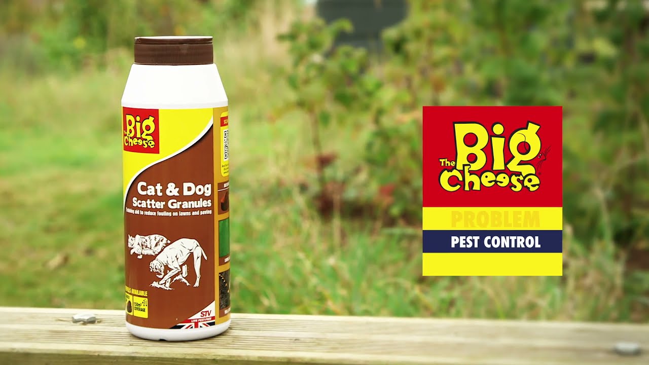 The Big Cheese Cat & Dog Scatter Granules - 450g - STV616 - YouTube
