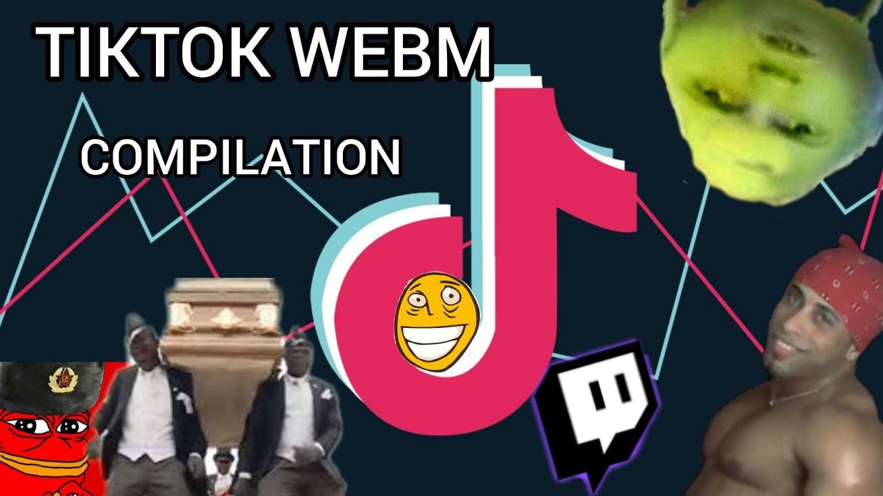 ЛУЧШИЕ МЕМЫ ИЗ ТИКТОК // TIKTOK WEBM COMPILATION 38 - YouTube