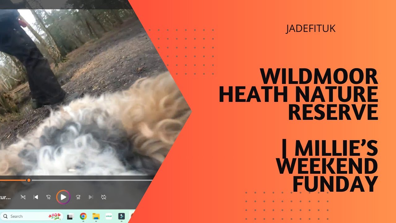 Millie's Weekend Funday | Episode 2 | Wildmoor Heath Nature Reserve ...