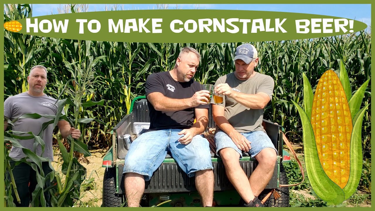 Brewing Beer with Corn Stalk Sugar – Ancient Technique Meets Modern ...