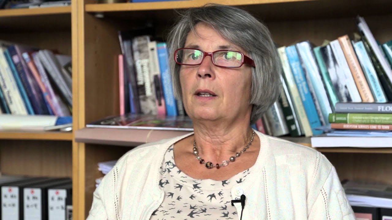 Environment Processes & Change - Earth Systems & Environmental Sciences ...