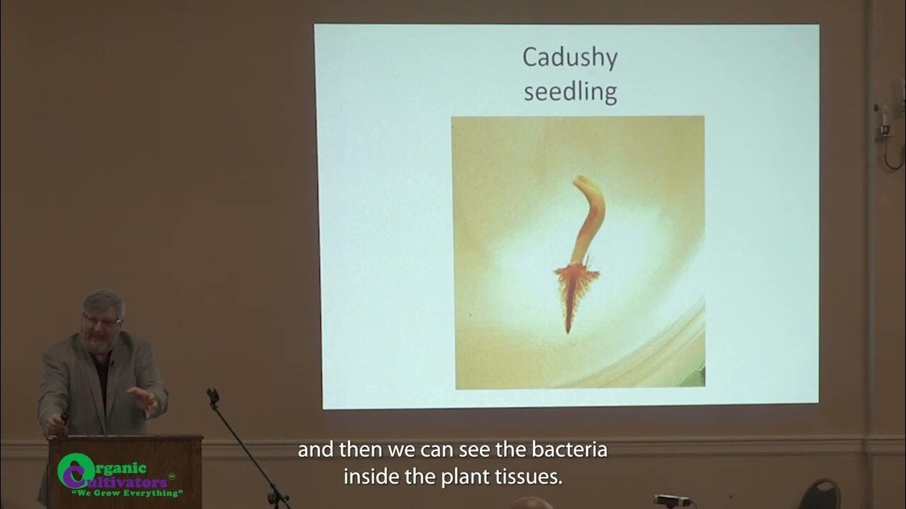 unlocking-nature-s-secrets-the-mind-blowing-rhizophagy-cycle-explained