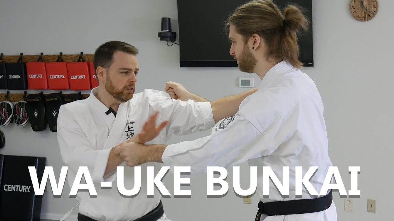 Uechi-Ryu Bunkai Drill: Wa-Uke & Kata Opening - YouTube
