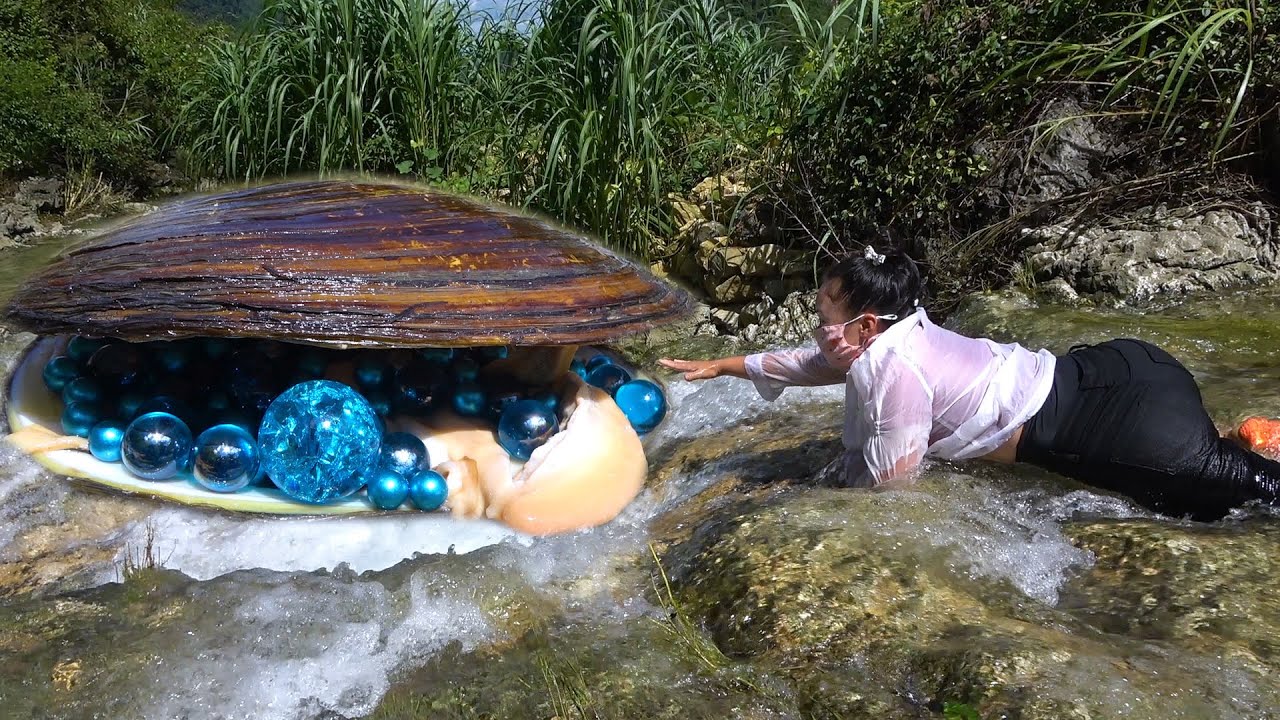 Pry open the century old pearl clam in the deep mountains, allowing me ...