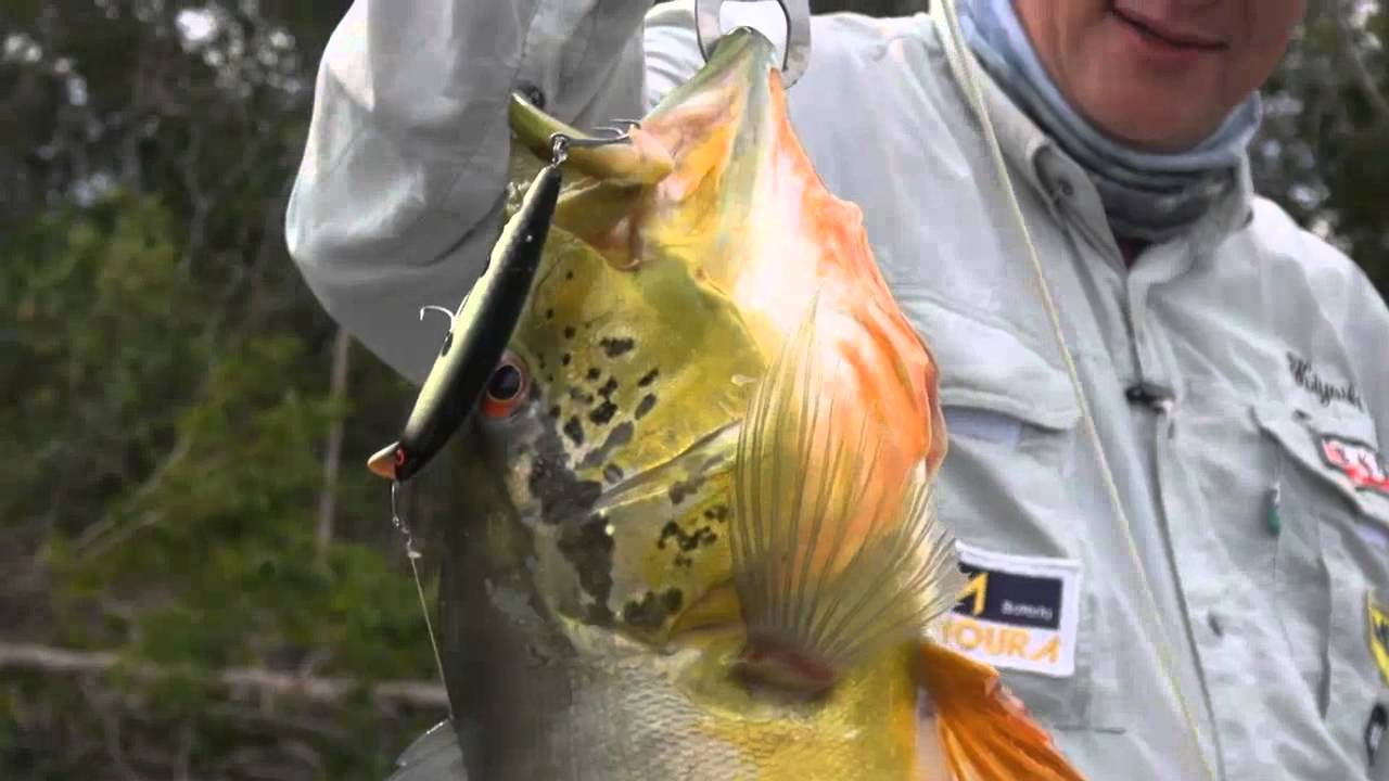 Novo roteiro do Rancho do Pescador - bloco 1 - YouTube