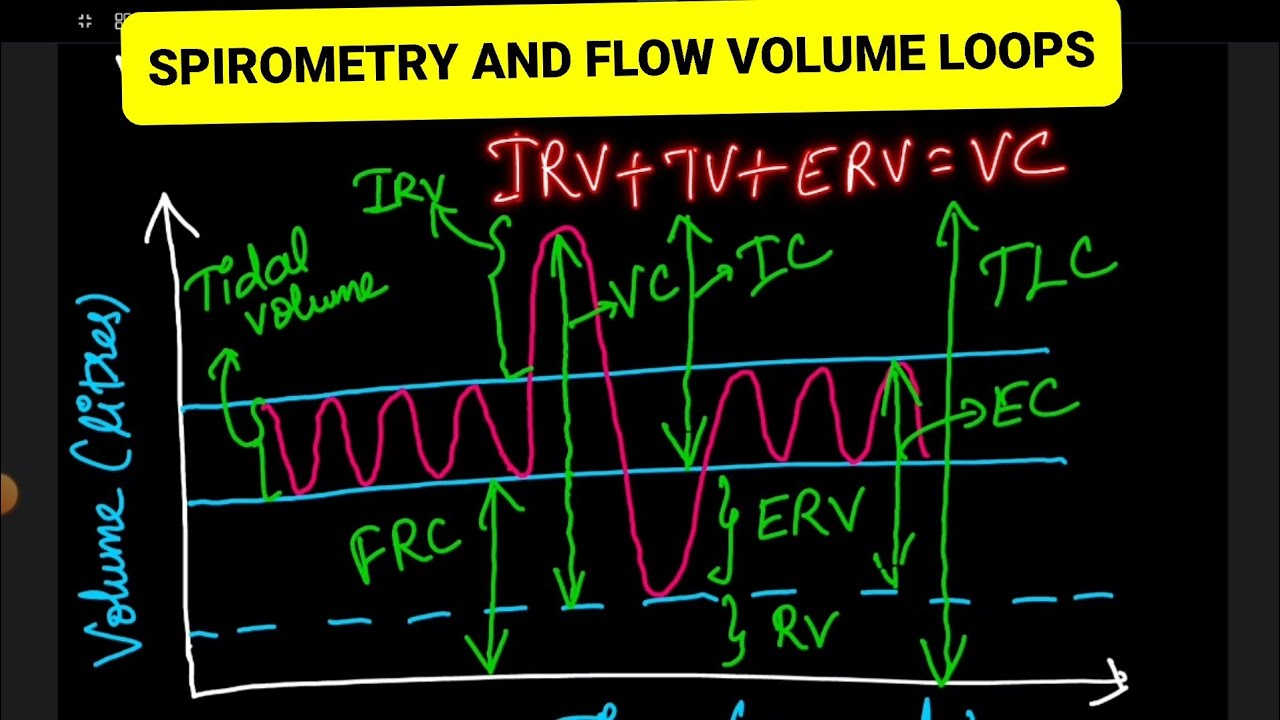 SPIROMETRY & FLOW VOLUME LOOP TEST -In Brief🫁#physiology#mbbs#neetpg# ...
