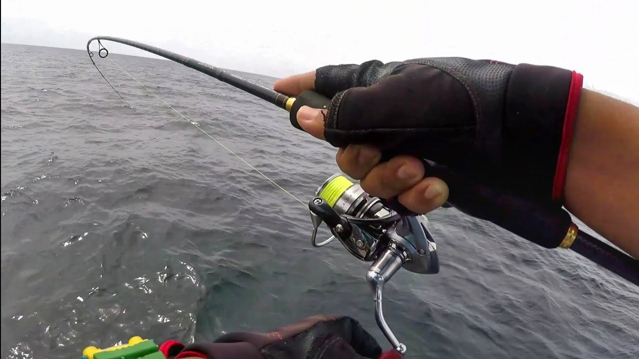 Micro Jigging Cencaru Tuas Buluh Payar ( Ultralight Fishing ) - YouTube