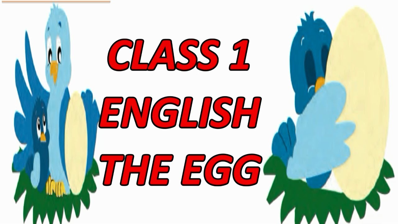 Class 1 | English | The Egg | Complete Exercise Of Textbook | question ...