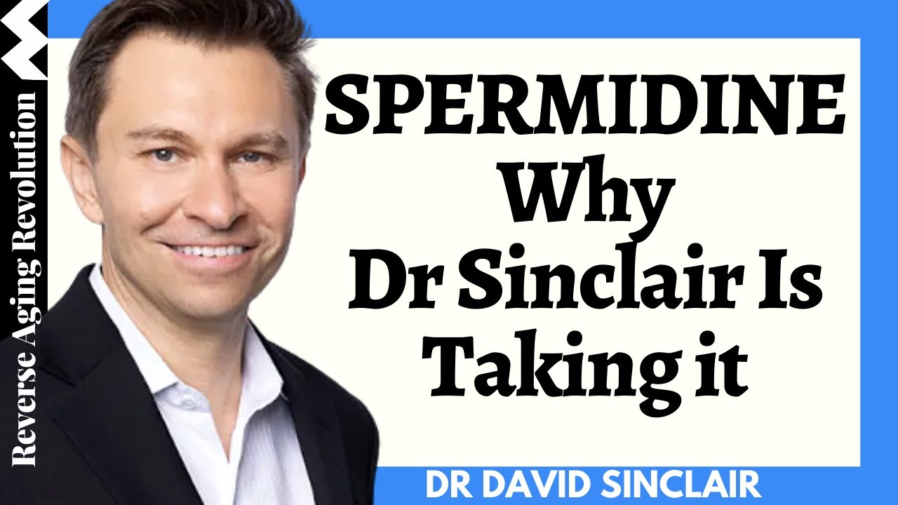 Spermidine - Why Dr David Sinclair Is Taking It? | Dr David Sinclair Interview Clips - YouTube