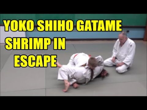 SHRIMP IN ESCAPE YOKO SHIHO GATAME - YouTube