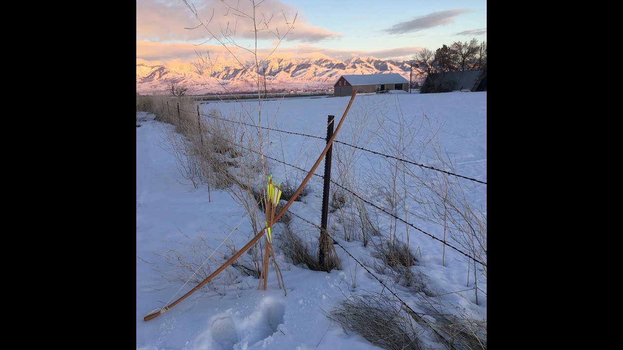 Shooting Hickory Longbows - 65 lb Viking Hedeby and 65 lb English ...