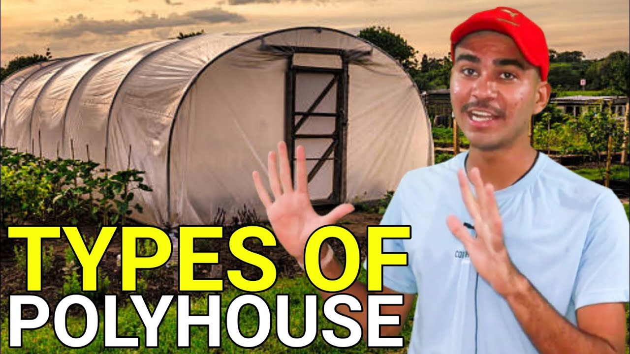 Watch This ! Before Starting Polyhouse | Types of Polyhouse ...