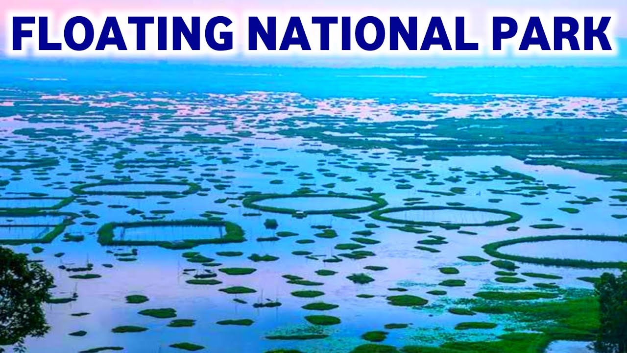 INDIA HAS WORLD'S ONE & ONLY FLOATING NATIONAL PARK || FLOATING ...