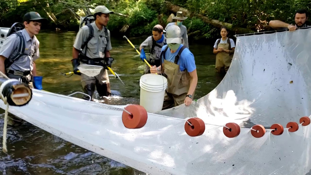 Index of Biological Integrity (IBI) Collection - YouTube