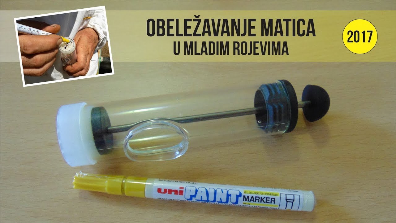Obeležavanje matica u mladim rojevima - YouTube