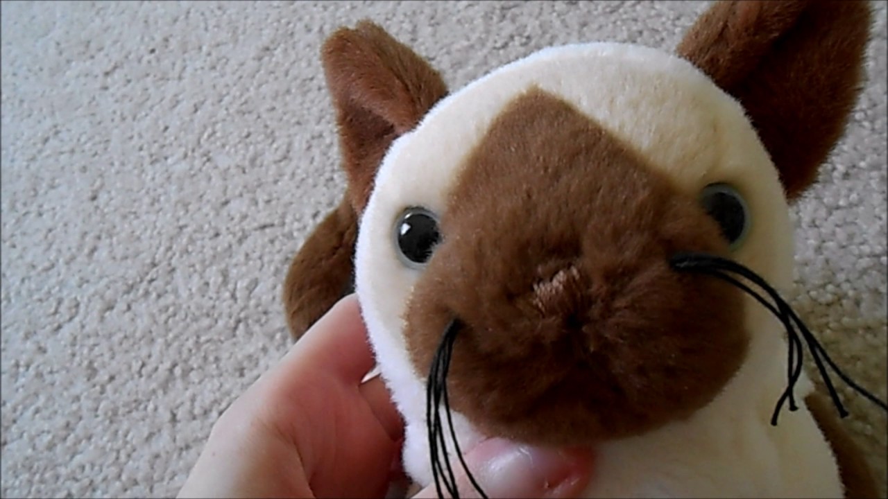 Reviewing the Webkinz Siamese Cat - YouTube