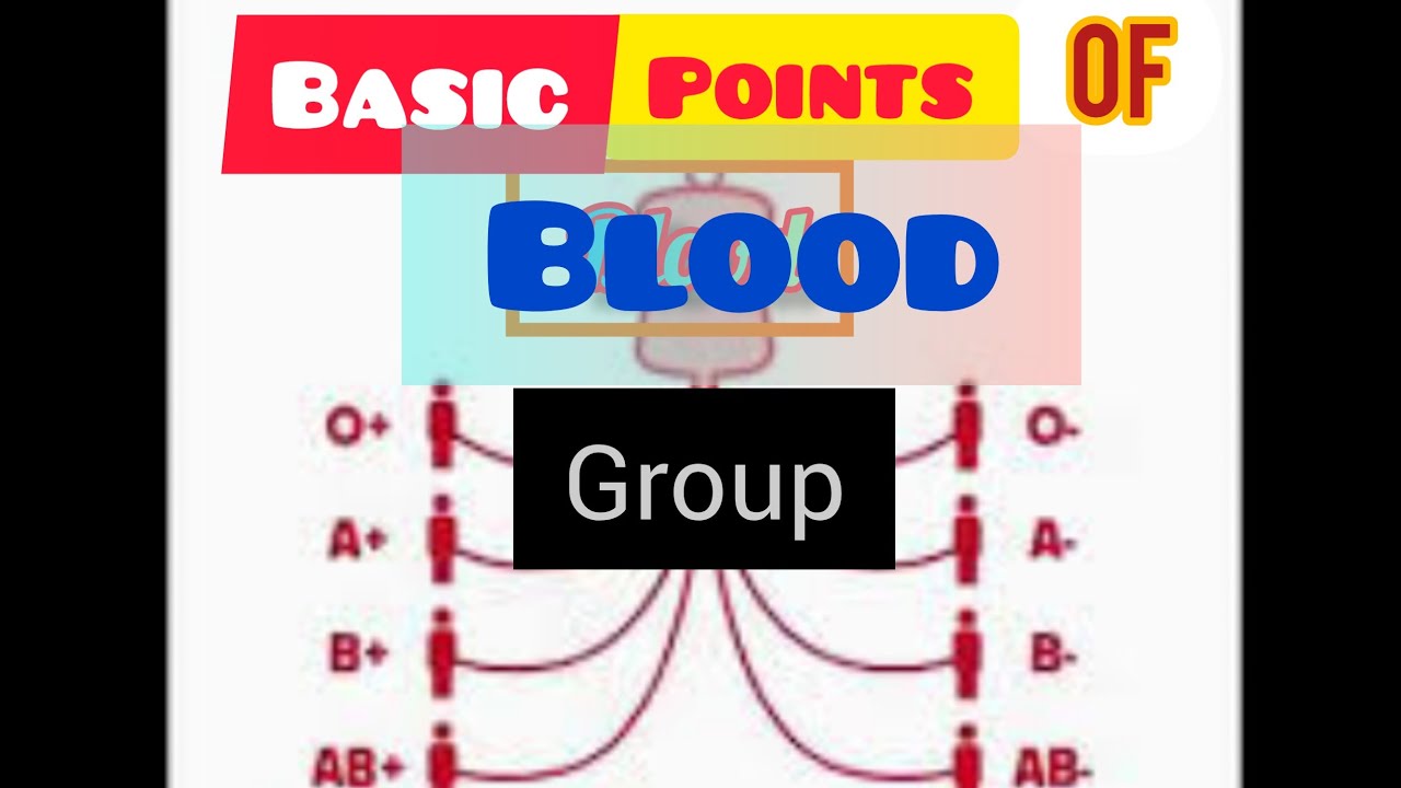 Basic points of the Blood group - YouTube