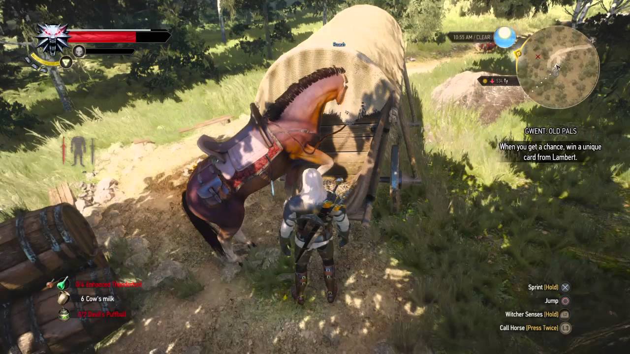 The Witcher 3: Roach's spot on impression of Geralt - YouTube