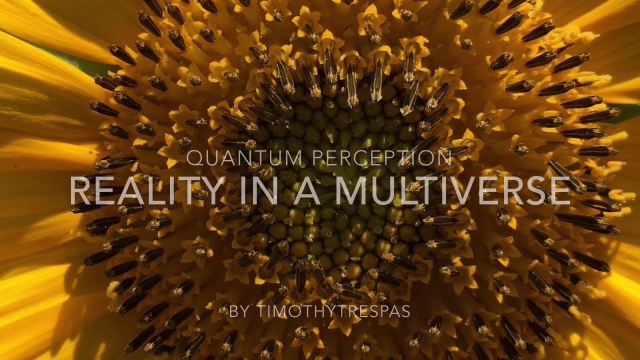 Quantum perception: reality changing in a multi-verse... - YouTube