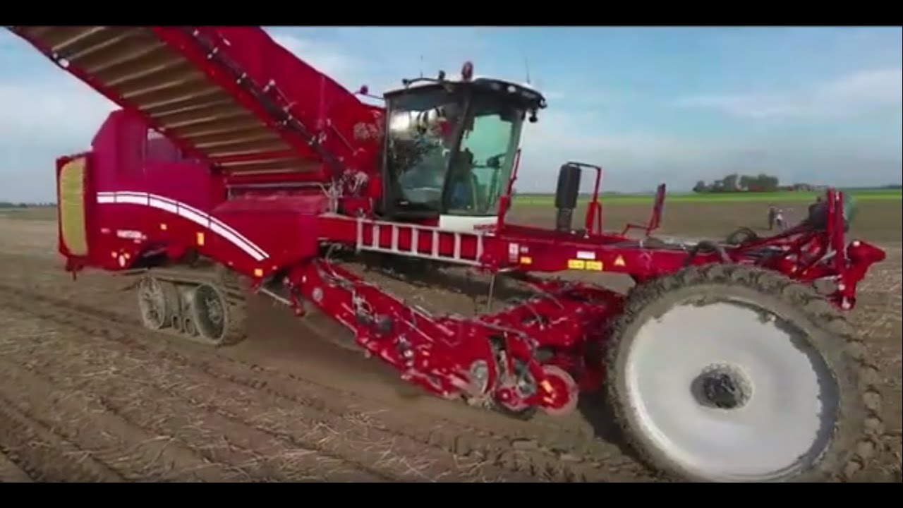 Aardappel oogst met oa Grimme Varitron 470 TT 2020 - YouTube