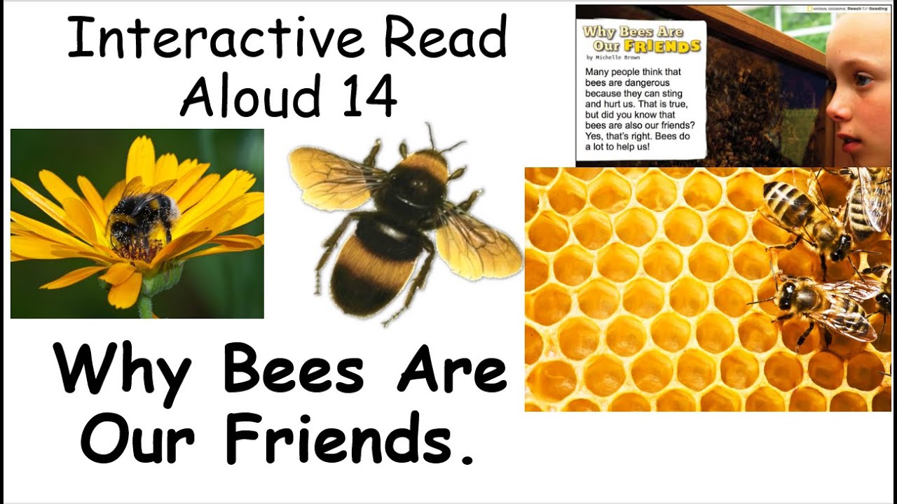Why Bees Are our Friends VIDEO - YouTube