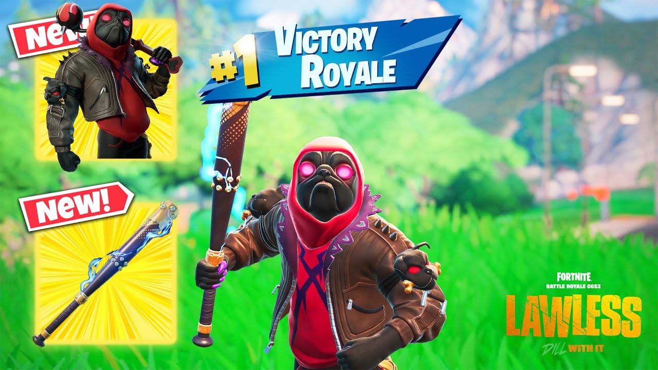 16 Elimination DARK DOGGO Squads Vs Squads ZB no medallion challenge ...