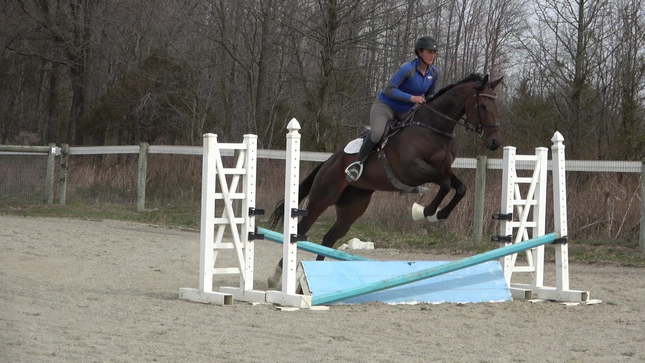 Grunders call 2nd time jumping - YouTube