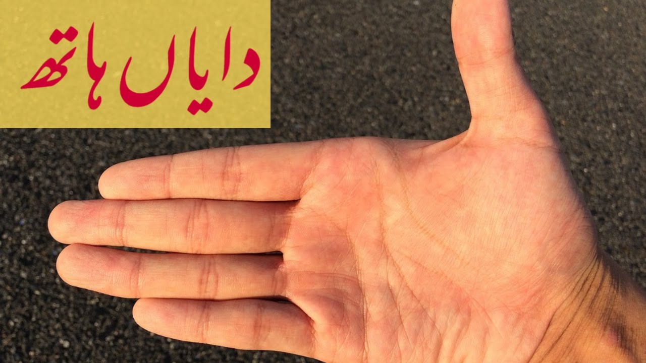 Left Hand| Left Handed People| Dayan Hath| |Islamic Stories Urdu/Hindi ...