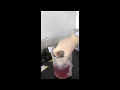 Pap smear staining procedures - YouTube