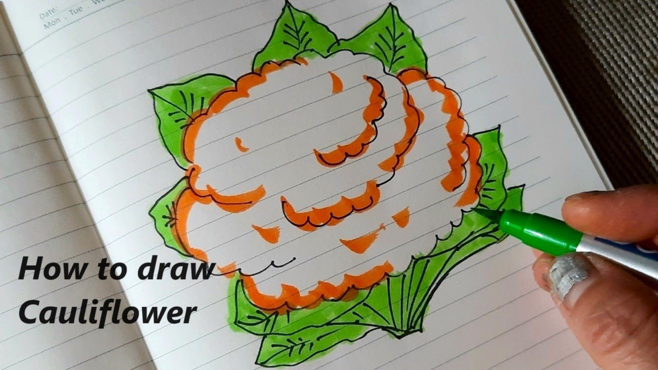 How to draw a cauliflower | Vegetable drawing easy - YouTube
