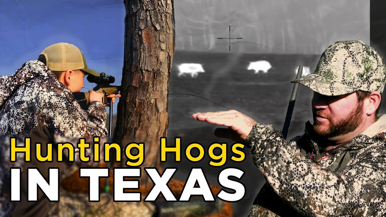 Hog Wild | Texas Hog Hunting - YouTube