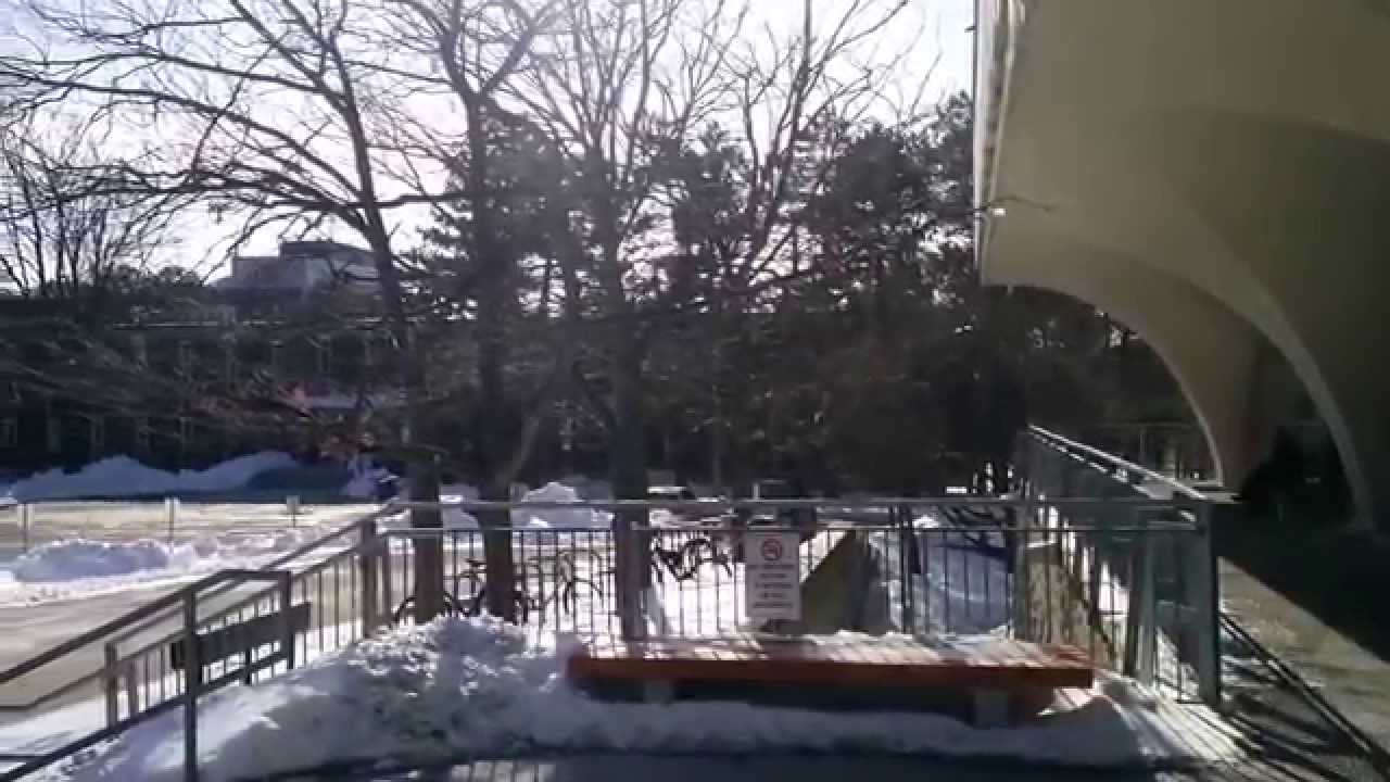 Dana Porter Library, University of Waterloo - YouTube