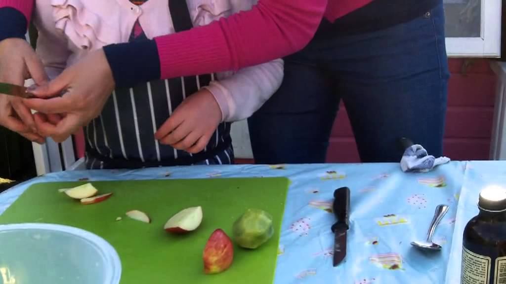 Cocinemos - Ensalada de Fruta "Come y Bebe" (Eat & Drink!) - YouTube