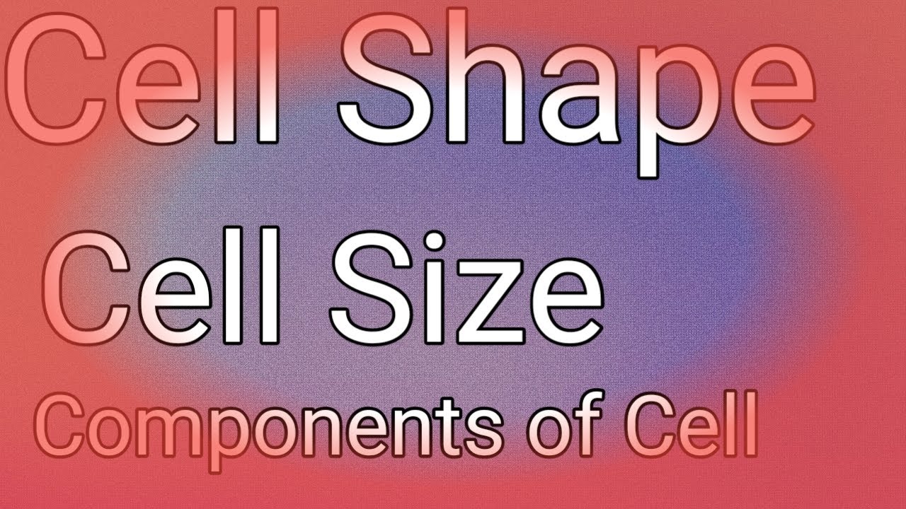 Shape of cell , Size of cell , components of cell - YouTube