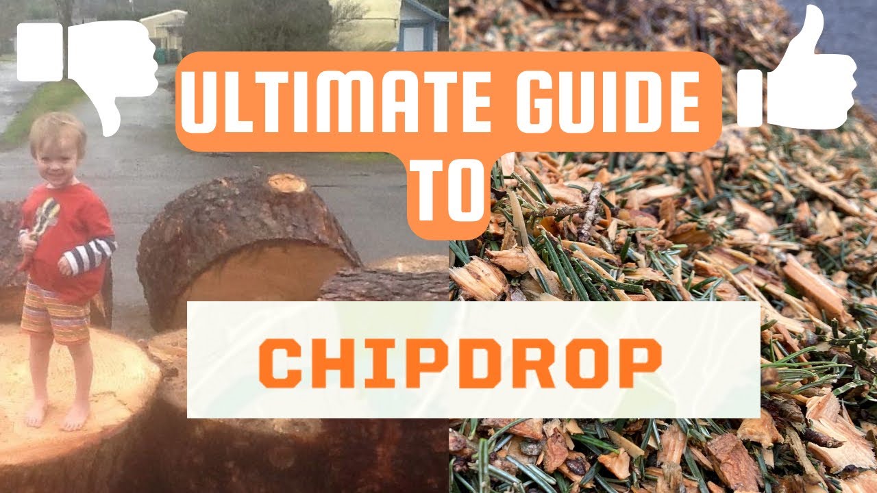 How to Get the Most from ChipDrop: All the Tips for the Best Free Woodchips! - YouTube
