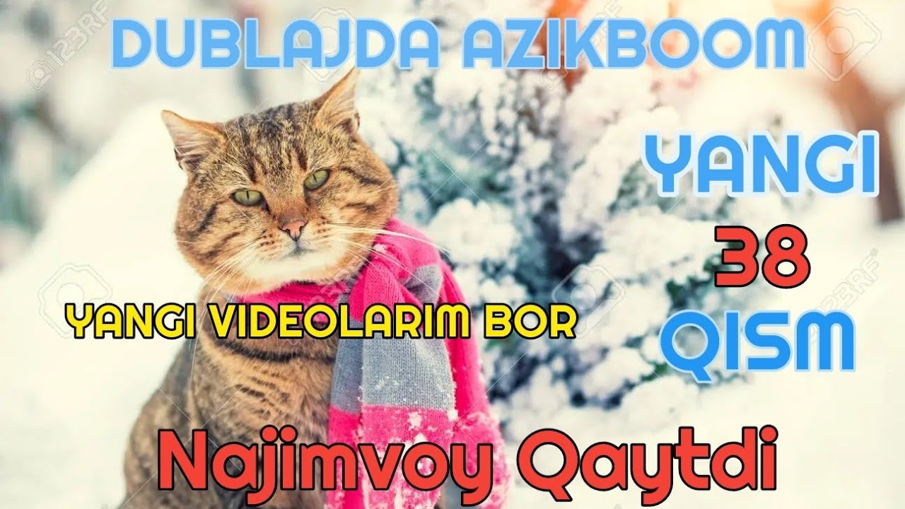 Mushuk Najim 38-Qism dublajda AzikBoom - YouTube