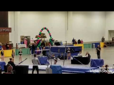 Ayla Miller-Twin City Twisters level 8- MN State Meet - YouTube