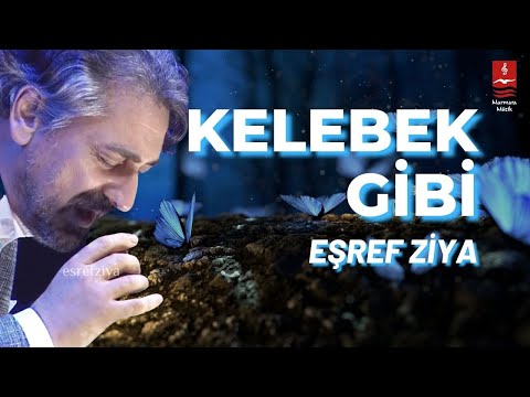 EŞREF ZİYA \