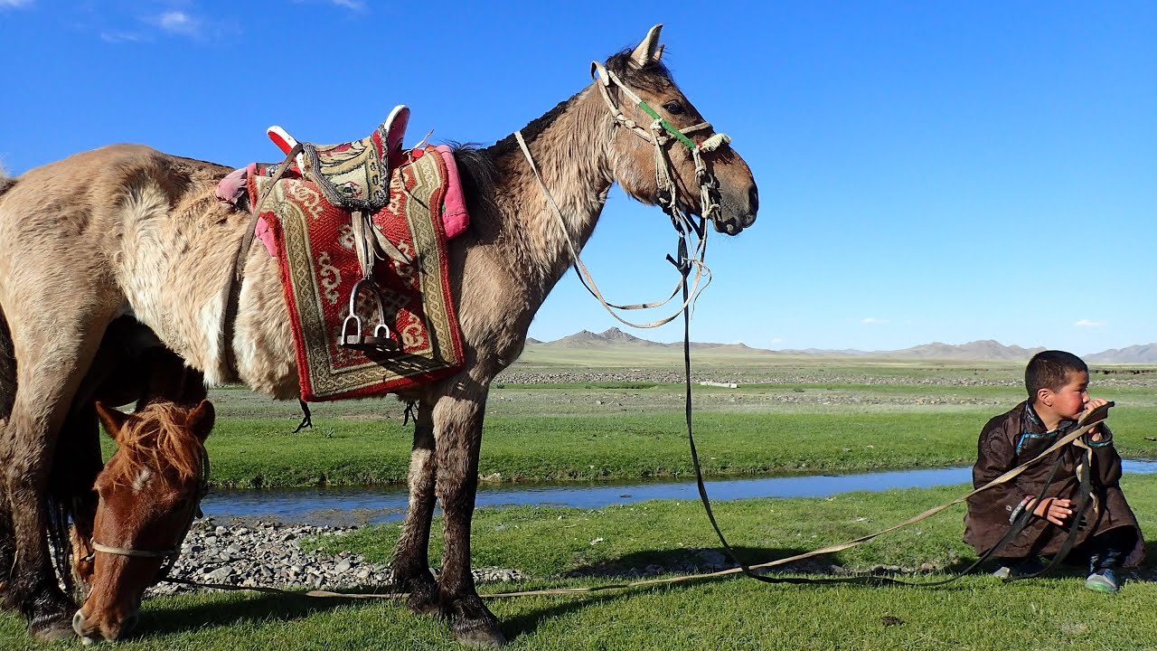 Episode 12 : Film Mongolie (1/2) - Vél'Oc - YouTube