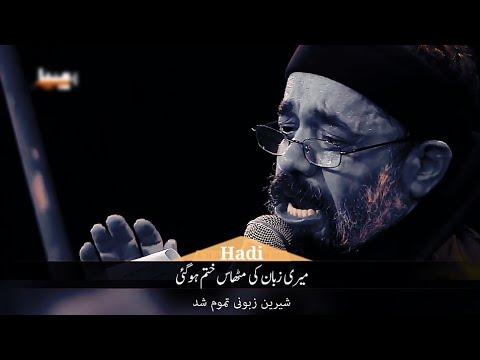 13 safar noha whatsapp status |Bibi Sakina noha |شیریں زبونی| Haj mahmood karimi farsi noha #13safar