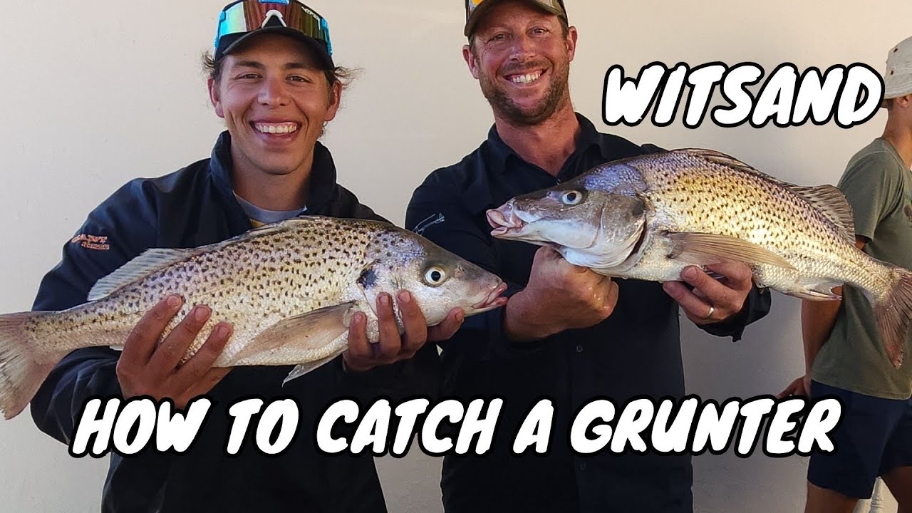The Best Bait For Grunter Fishing - Witsand, Western Cape - YouTube