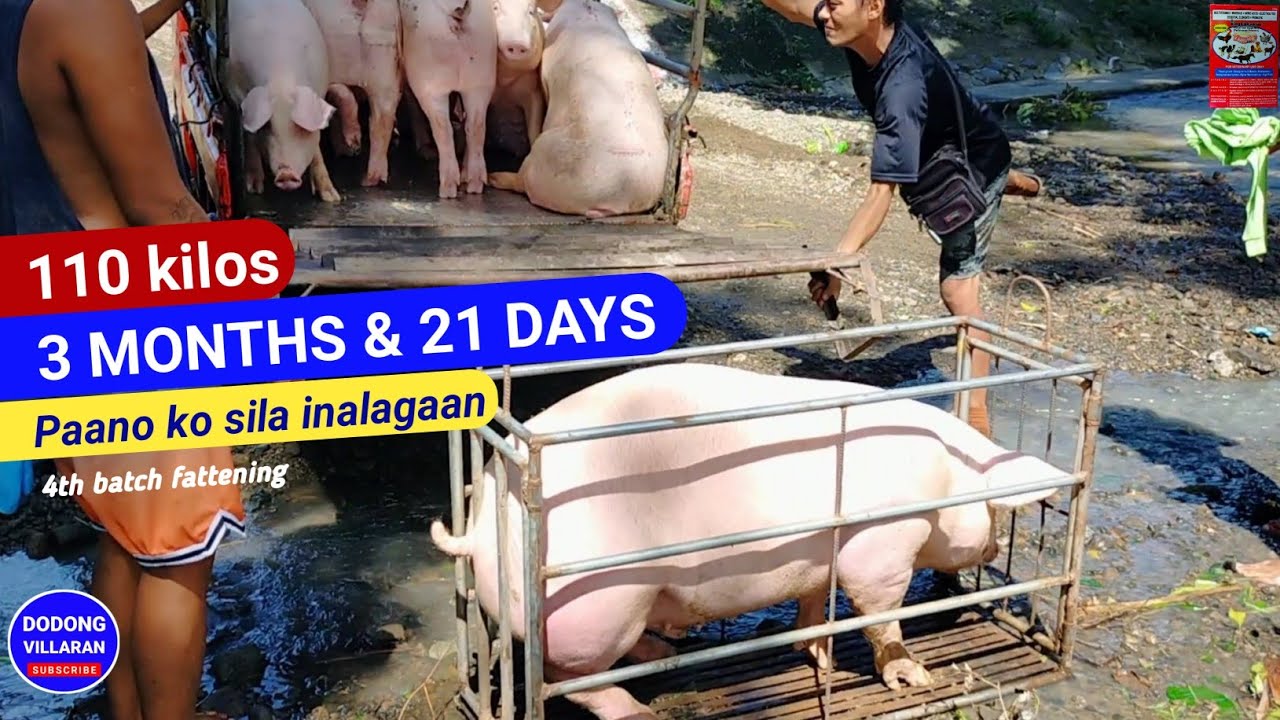 110 Kilos 3 months & 3 weeks from buying date l Vlog 227 - YouTube