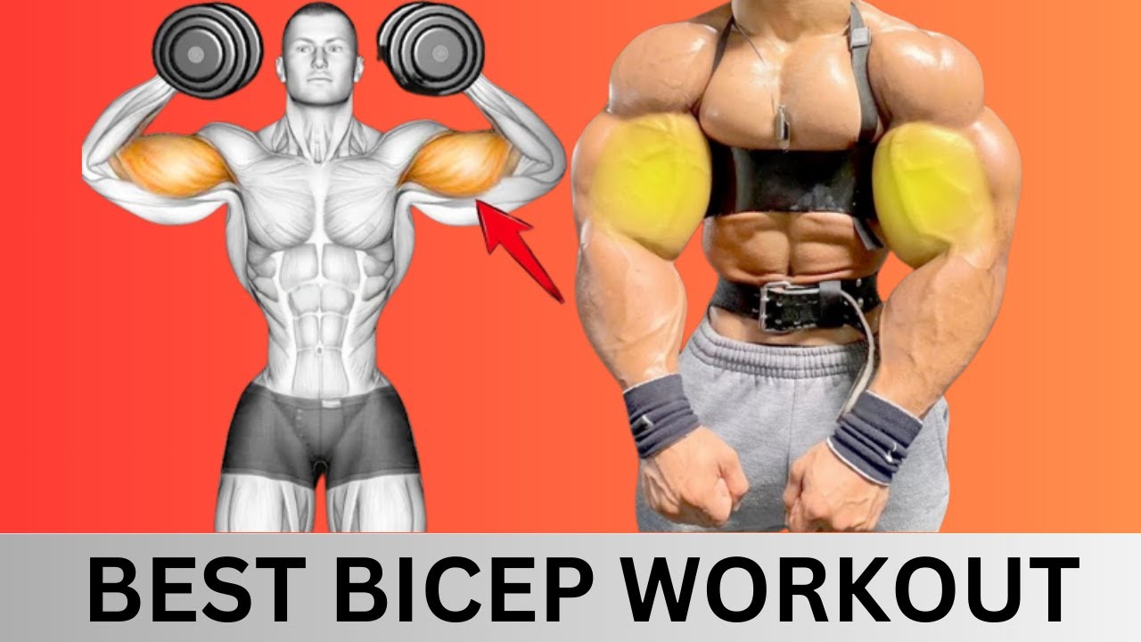 How To Build Your biceps workout Fast (6 Effective Exercises) - YouTube